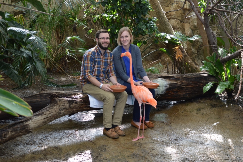 National Aviary updates interaction | News, Sports, Jobs - The Herald Star
